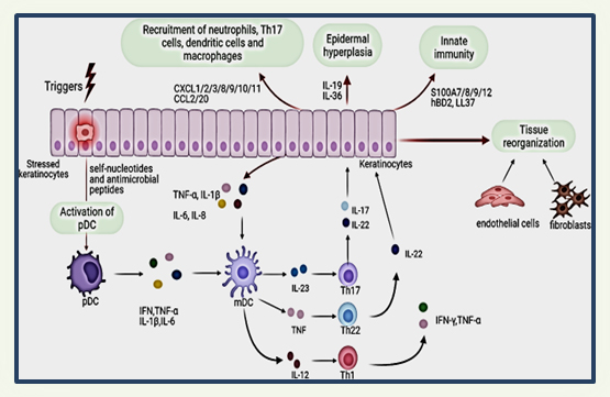 Drug Repurposing – Acubiosys